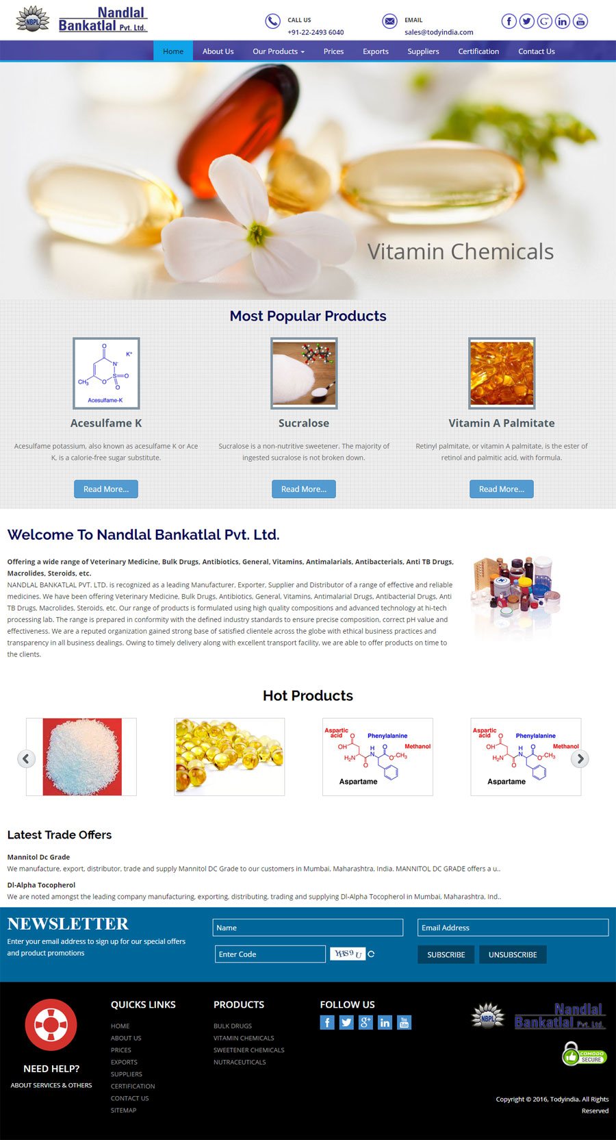 Dynamic Website Designing Company in Delhi | Dynamic Web Design in India