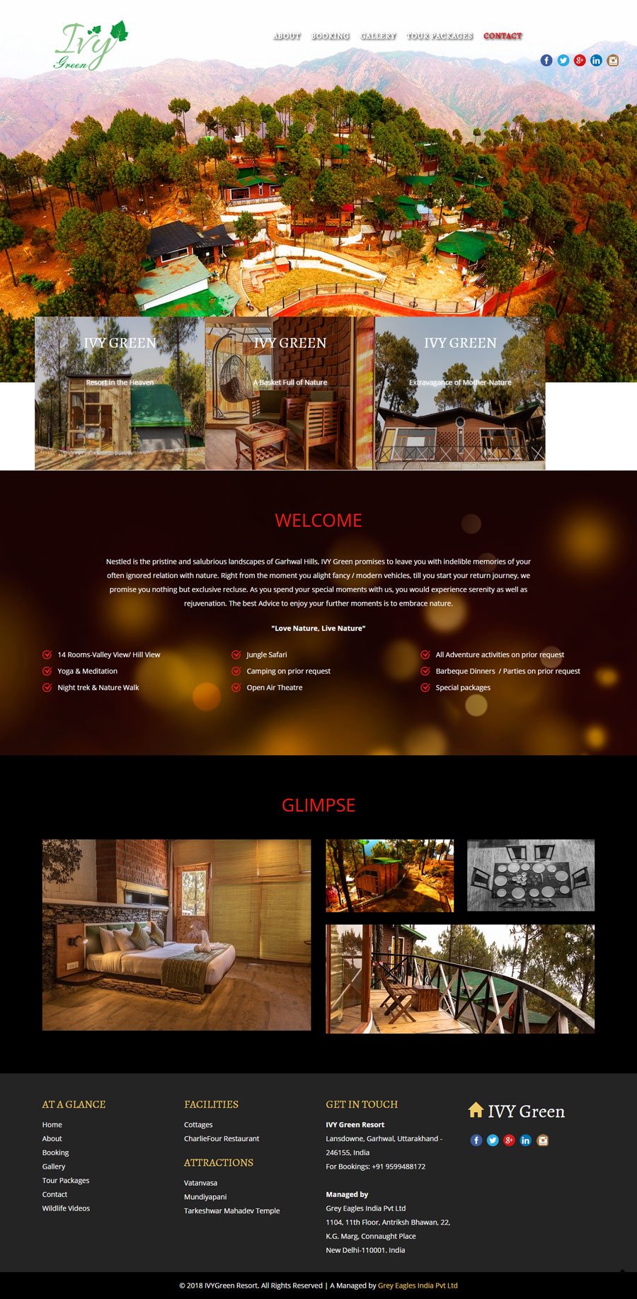 Custom Website Design Services,Custom Web Designers India