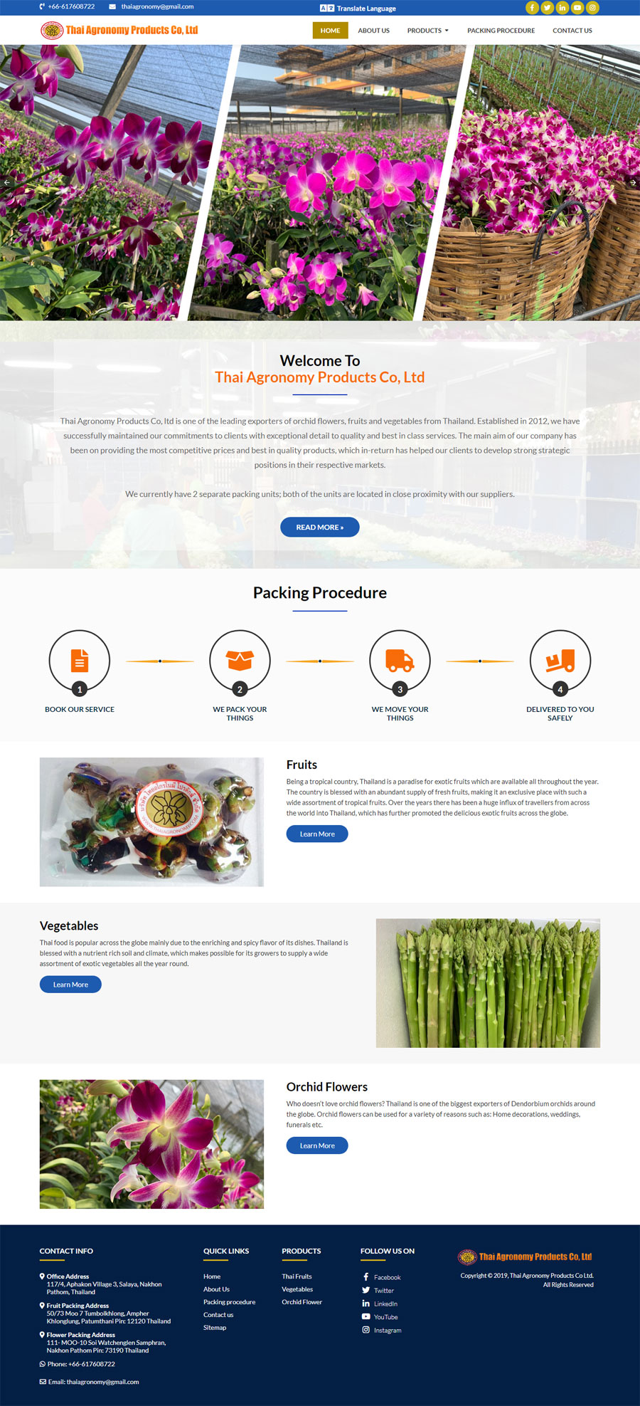 AMP Web Development Service in Delhi | AMP Web Design & Development | AMP Page Development Services
