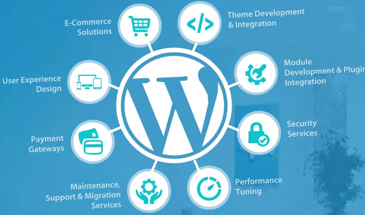 Wordpress Website Development Company in Delhi| Wordpress Development ...